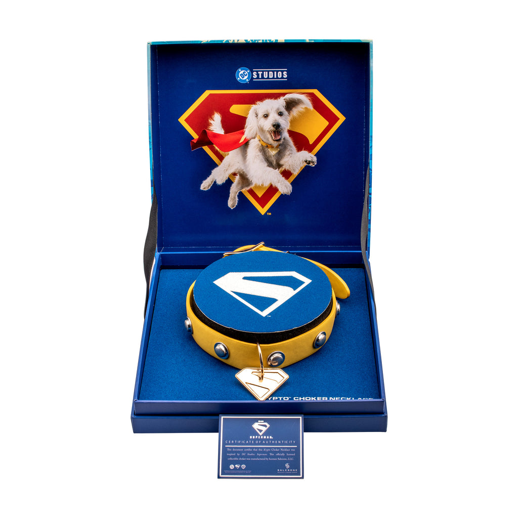 Krypto Collar Choker Necklace – Jewelry Brands Shop